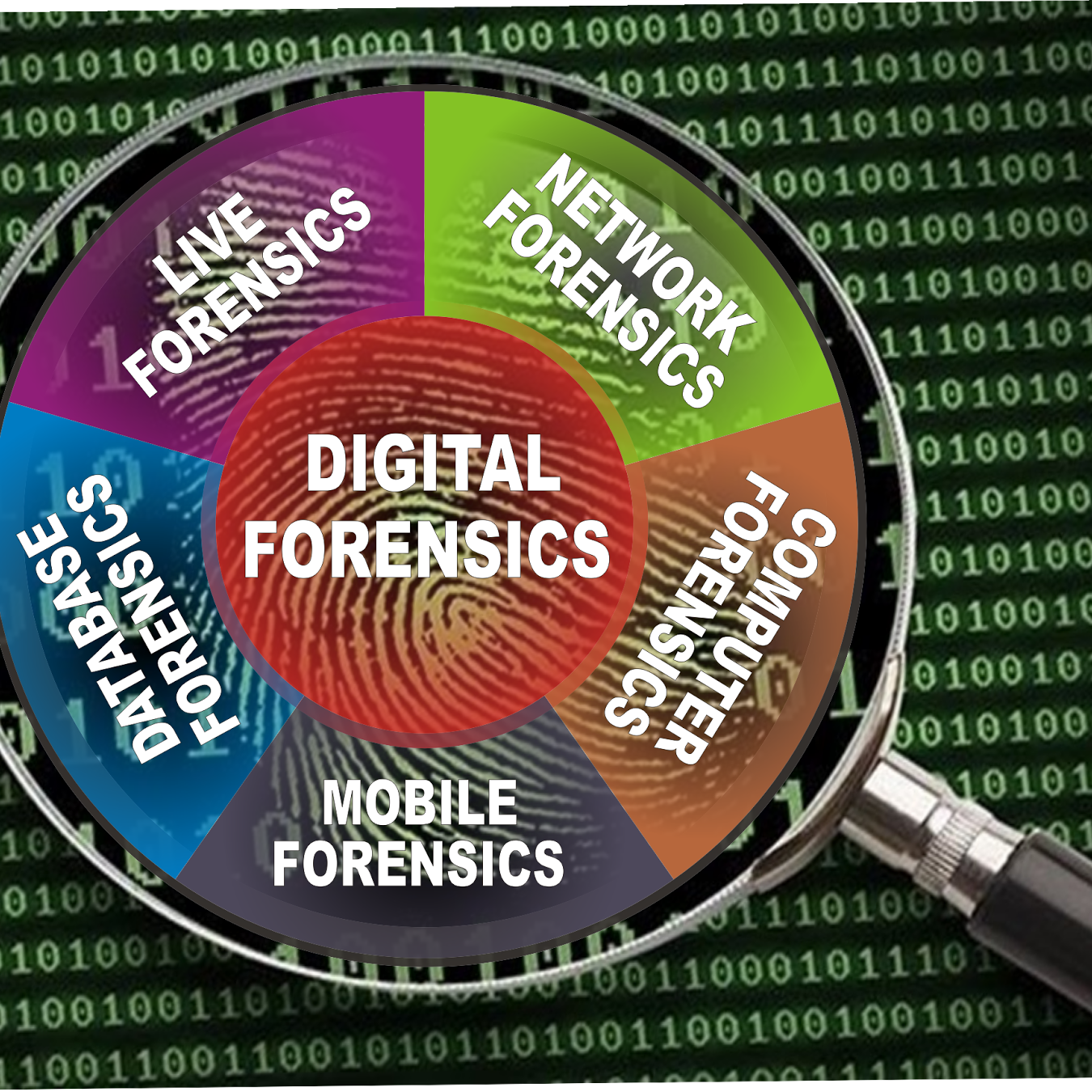Digital Forensics - Vidhy Digital