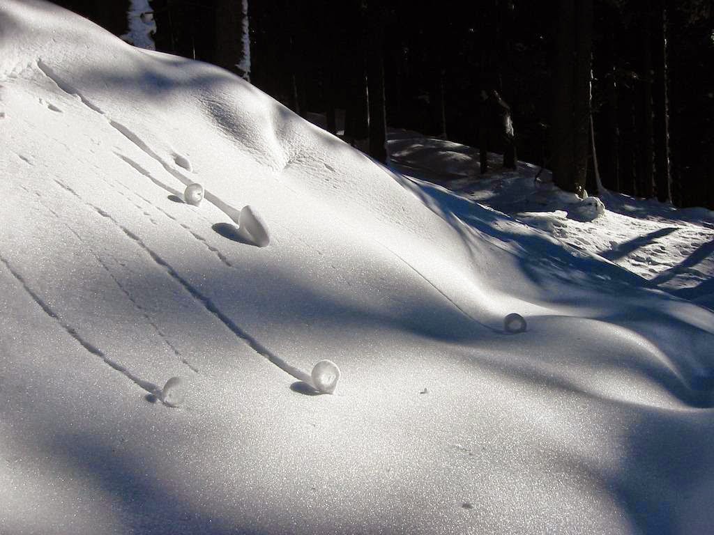 Snow Rollers: Nature’s Winter Treat ~ Kuriositas