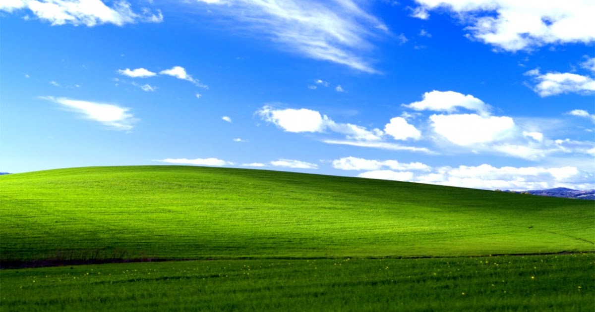 Windows Xp Field Wallpaper | Zoom Wallpapers