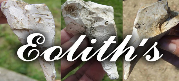 Portable Rock Art and Figure Stones - Eoliths: Paleo Bird Effigies