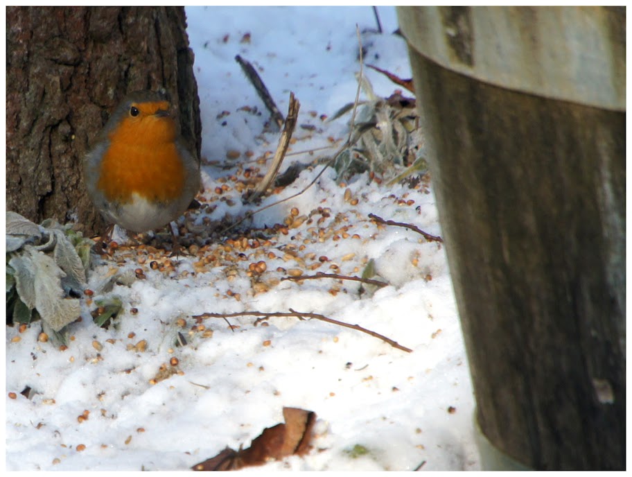 CERGIPONTIN: Une petite tête - bird-brained