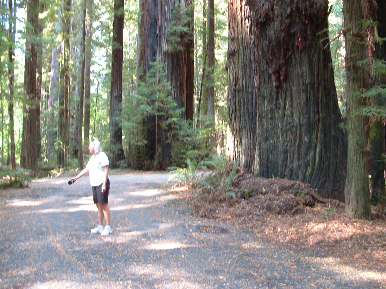 Laura's Blog: Saturday - Redding, CA