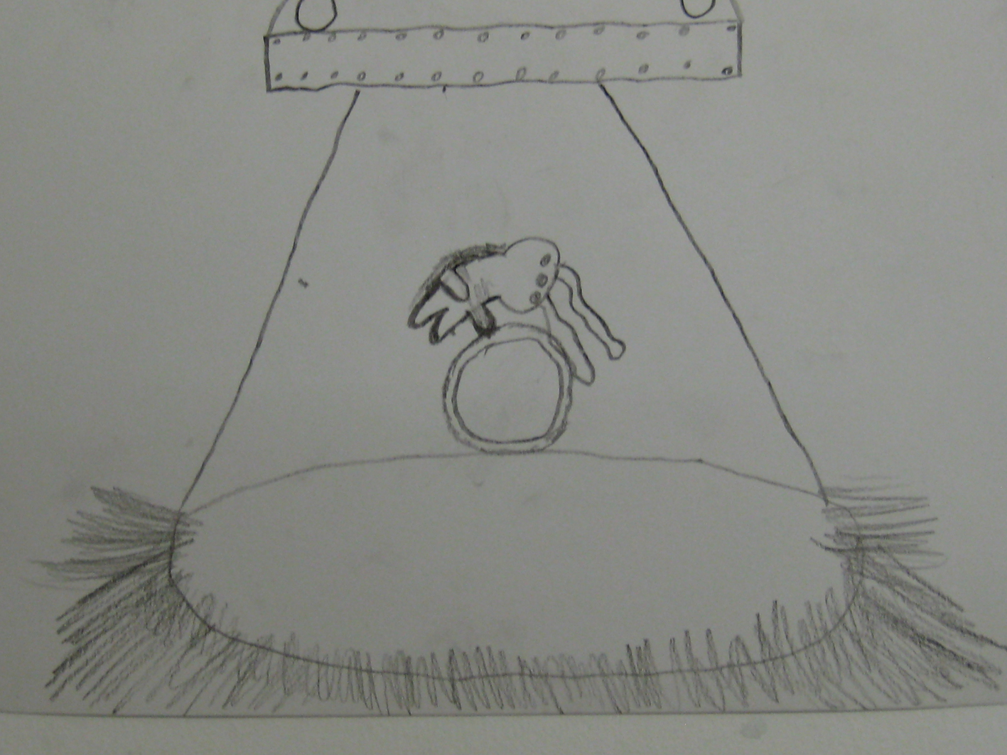 A Place to Call Home: Beegu show!