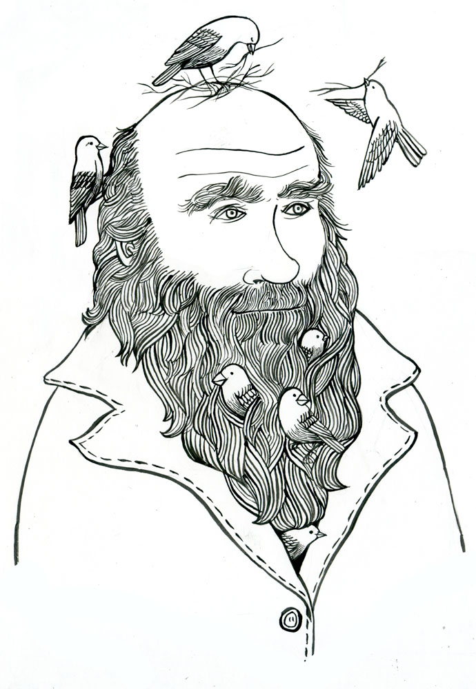 Darwins Finches Drawing