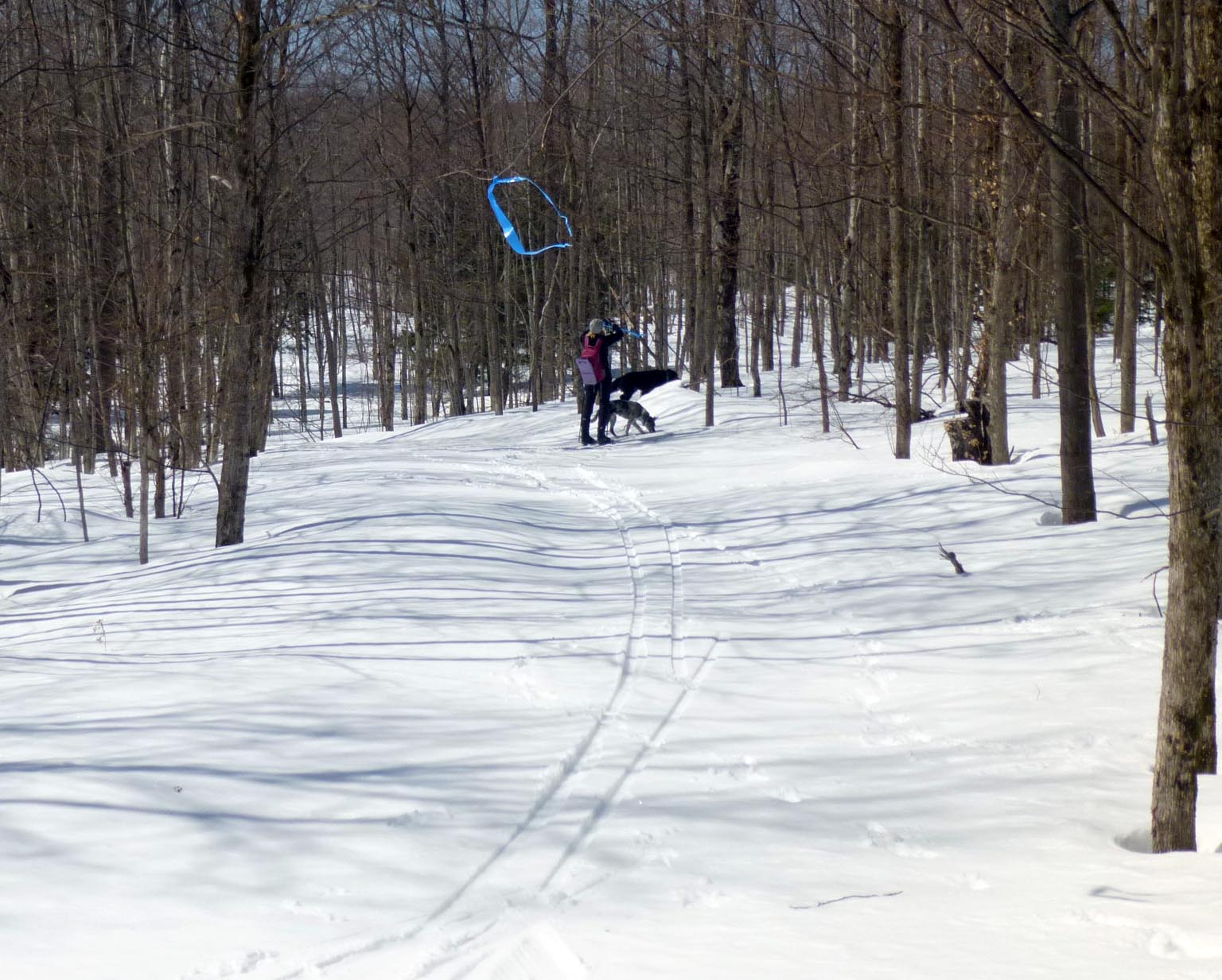 Maasto Hiihto and Churning Rapids Trails News: Yooper loop reopening?