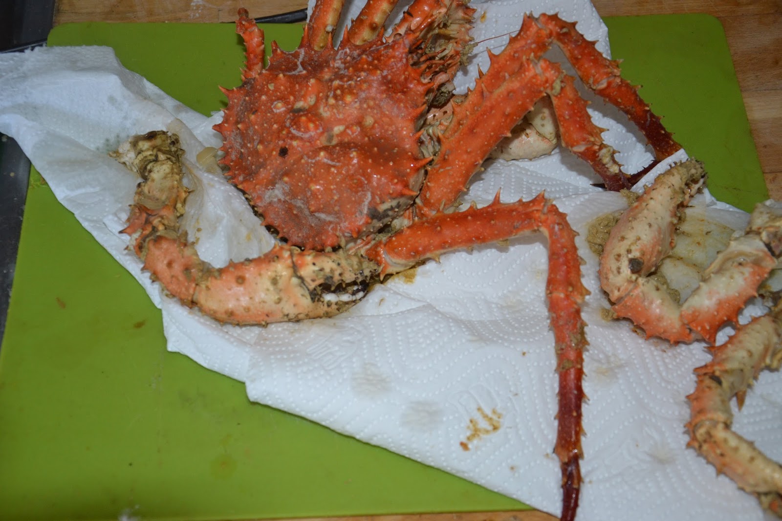 Oppdag Fisk!: Trollkrabbe/Northern Stone Crab/Lithodes Maja (Saltvann)