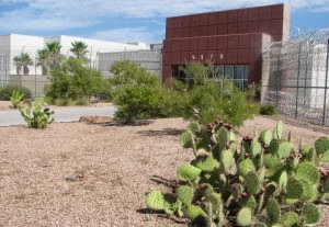 Dead 2 Rights: Ed Wood Wednesdays, week 53: 'The Young Marrieds' (1972)