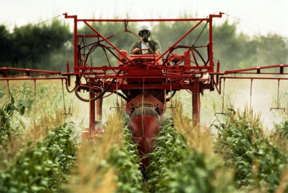 The Soviet Legacy: Russian Environmental Crisis: The Land ...