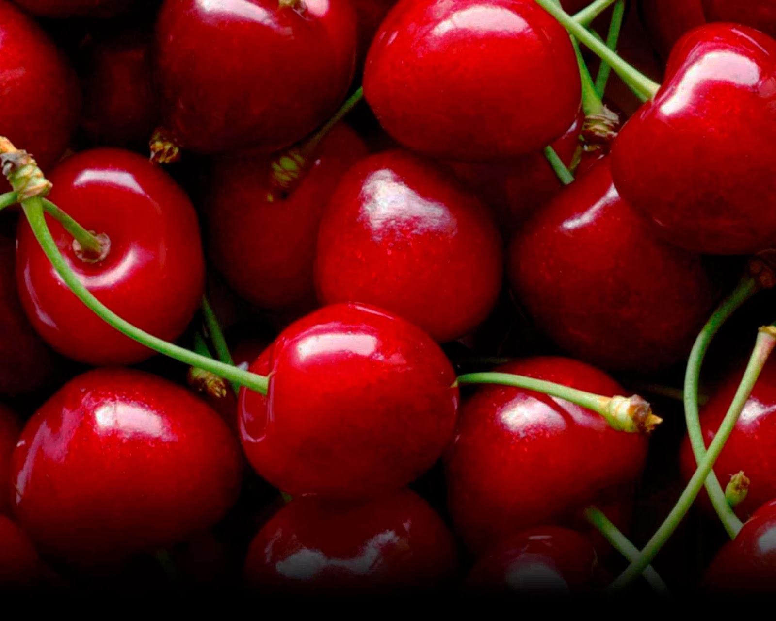 La voz del kamoxo: Cerezas exquisitas, con máxima calidad