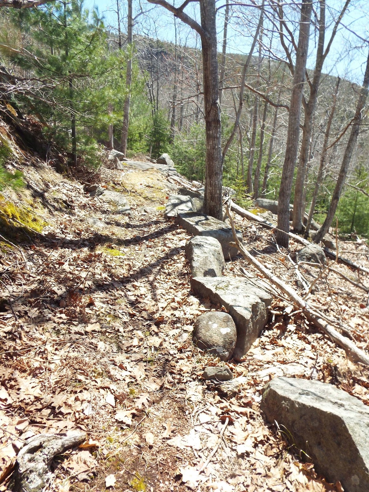ABANDONED TRAILS OF ACADIA NATIONAL PARK: LOST GEORGE B. DORR BICYCLE PATH