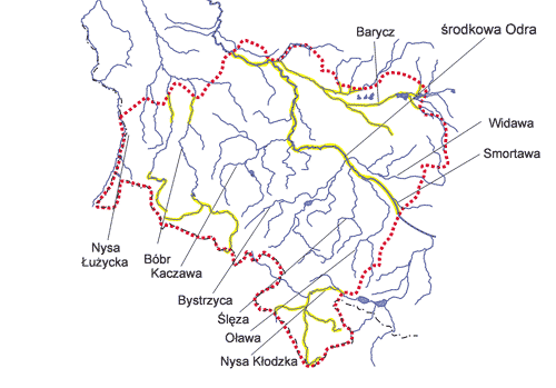 Dorzecza i dopływy Wisły i Odry
