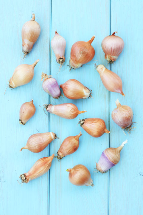 Stifảdo - chicken and baby onions stew / cookmegreek