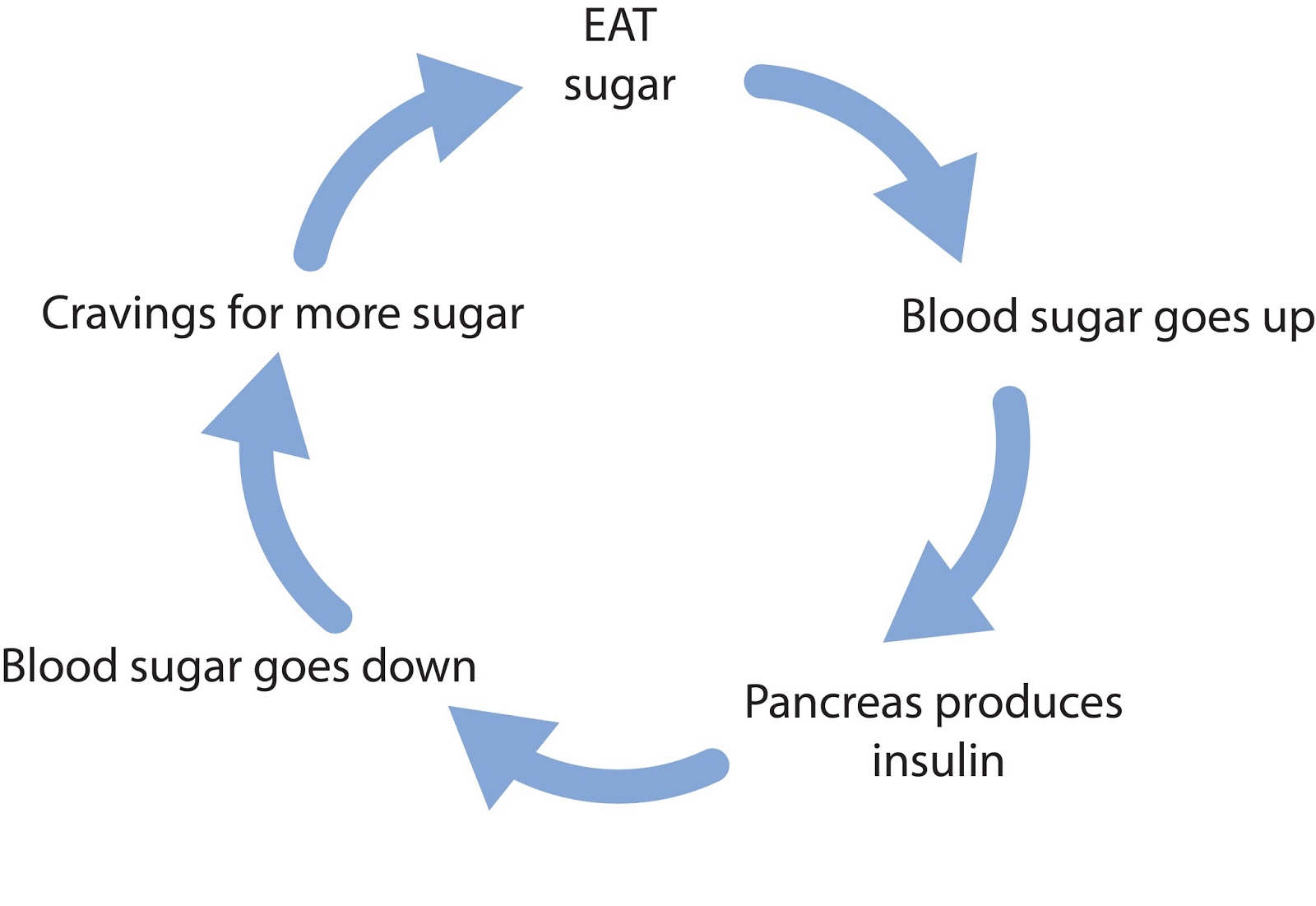 BIG FAT BLOG: Hyperinsulinemia - High Insulin Level