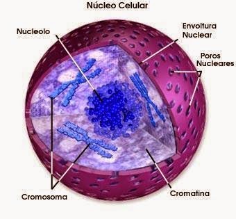Ciencias Naturales: 2014