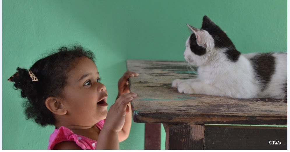 Ningún lugar está lejos... en RD: Cloe y los gatos...