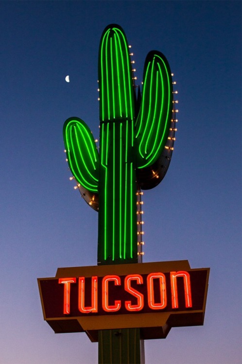 Tucson Daily Photo ~: One of Tucson's Best ICONS