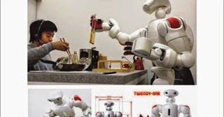 Robot Pembantu Pekerjaan Rumah Tangga