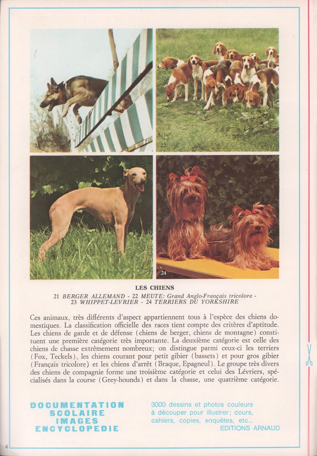 Leçons de choses: Documentation scolaire 143 : Les animaux domestiques