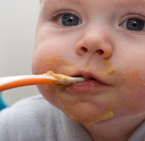 Bebés, salud, alimentación y maternidad : Introducción de la primera ...