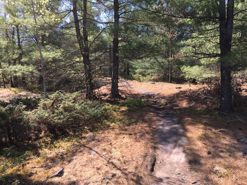 Dualsport Diary: Mountain biking access on the Carp Ridge