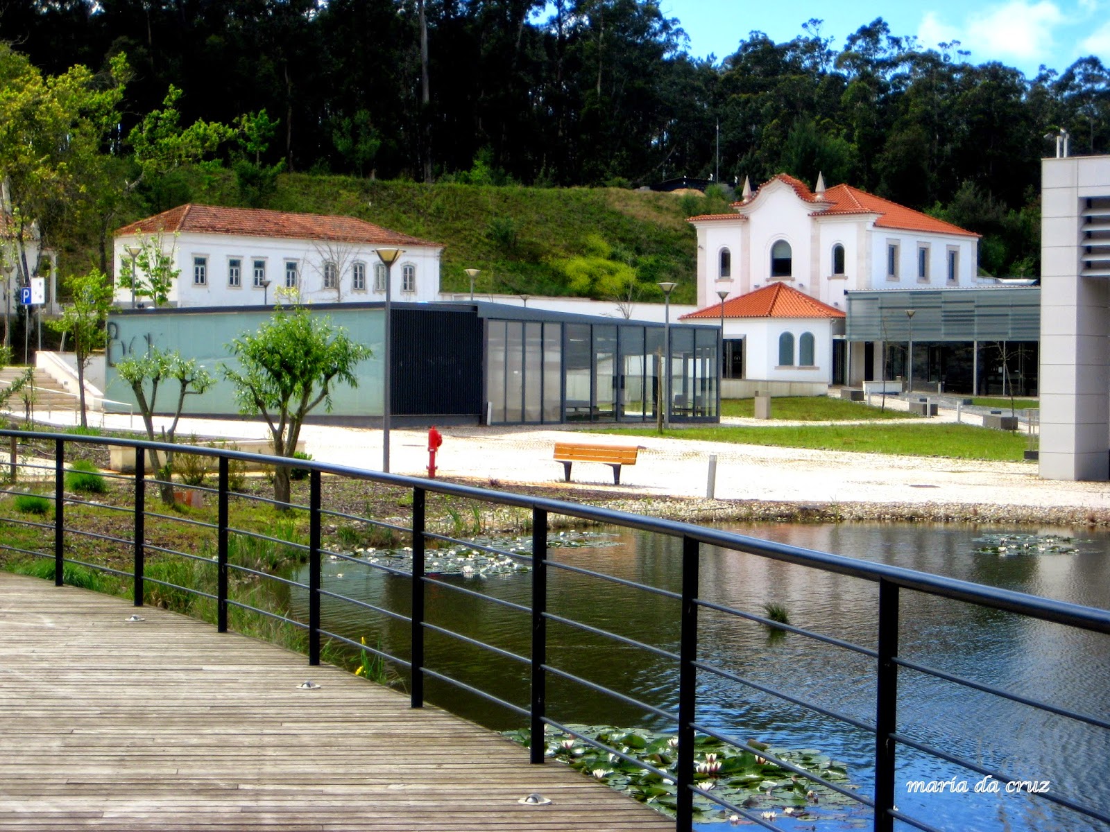 AS MINHAS FOTOS: Termas de Monte Real