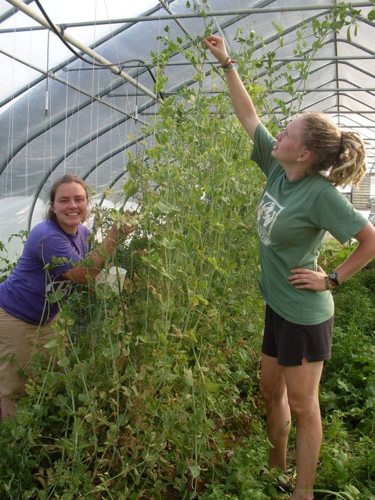 Portland is Peacing it Together