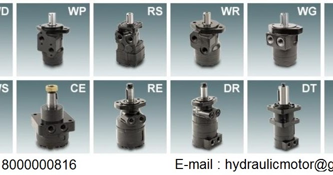 White Drive Hydraulic Motors WD, WP, RS, WR, WG, HB, CE, RE, DR, DT, D9 ...