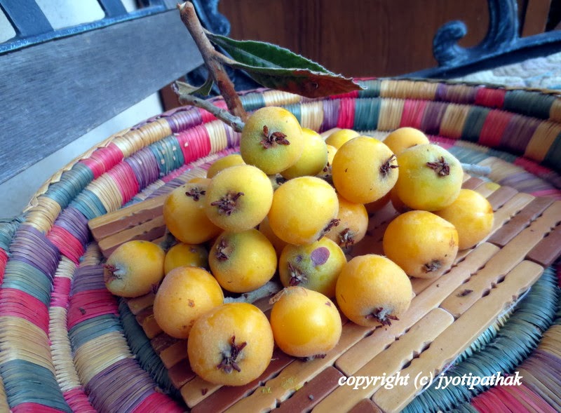 Taste of Nepal: Loquat Fruit of Nepal - लौकाट