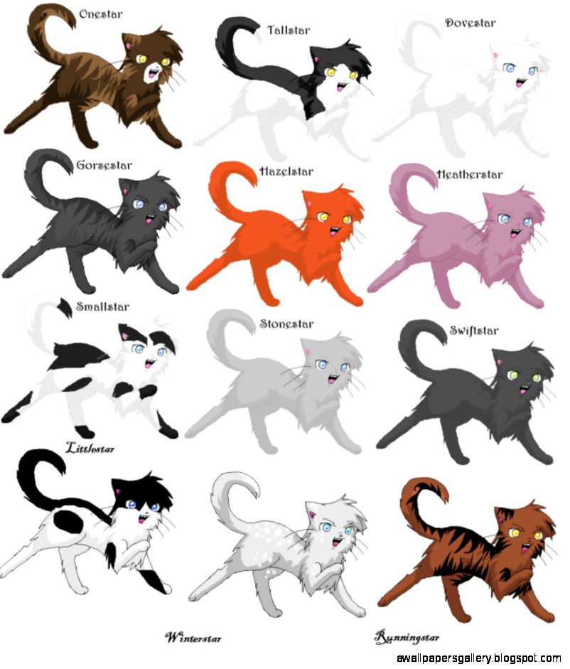 Warrior Cats Thunderclan Leaders | Wallpapers Gallery