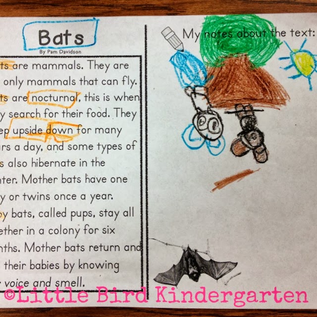 Bits About Bats! - Little Bird Kindergarten