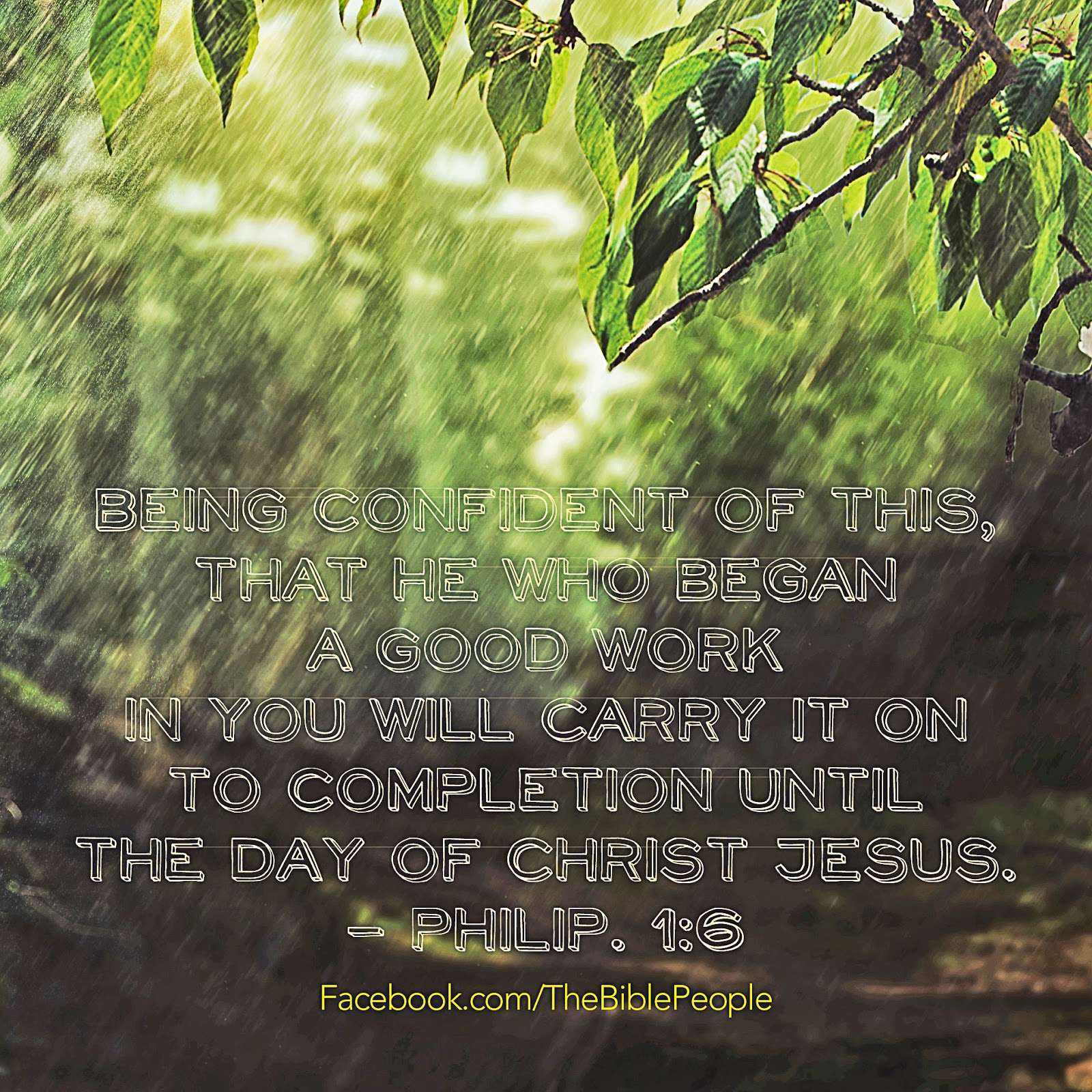 Read. Engage. Apply.: Quotes and Scripture Verses