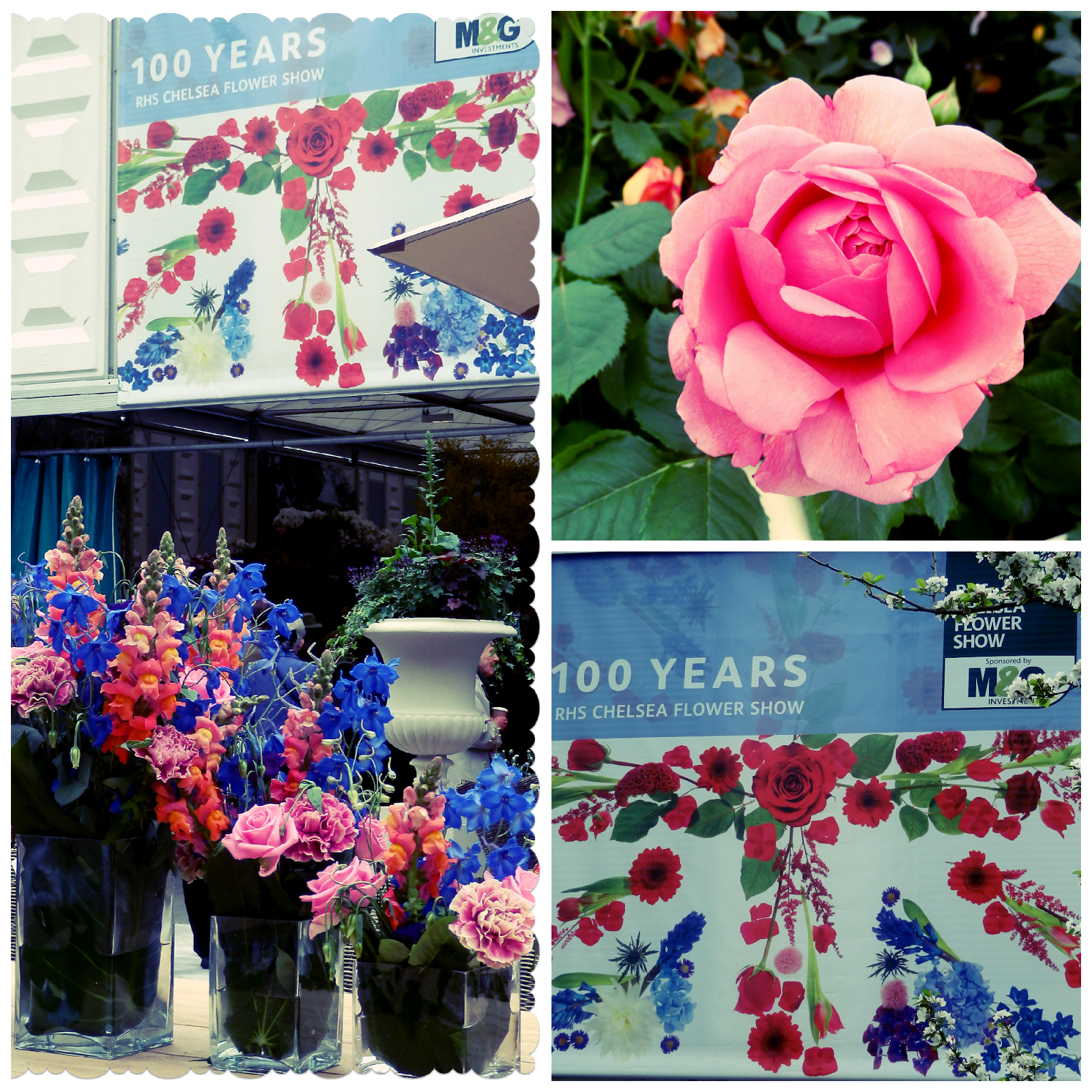 sarah-jane down the lane: RHS Chelsea Flower Show, 100 years!