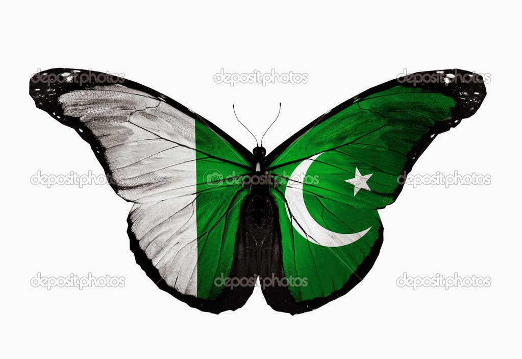 Tauseef Ansari: PAKISTAN ZINDABAD.