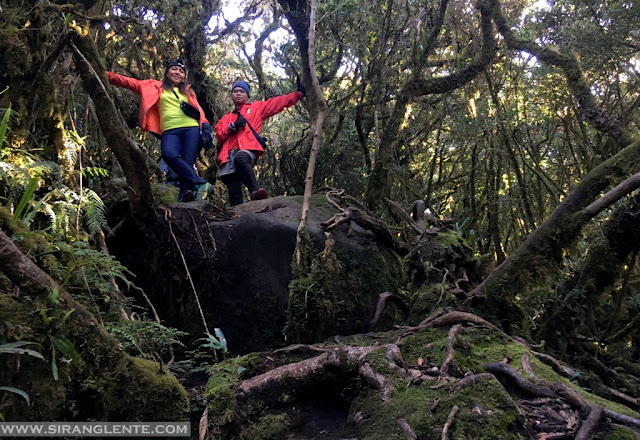 SIRANG LENTE | TRAVEL & HIKE: MT. TABAYOC, BENGUET: HIKING GUIDE AND ...