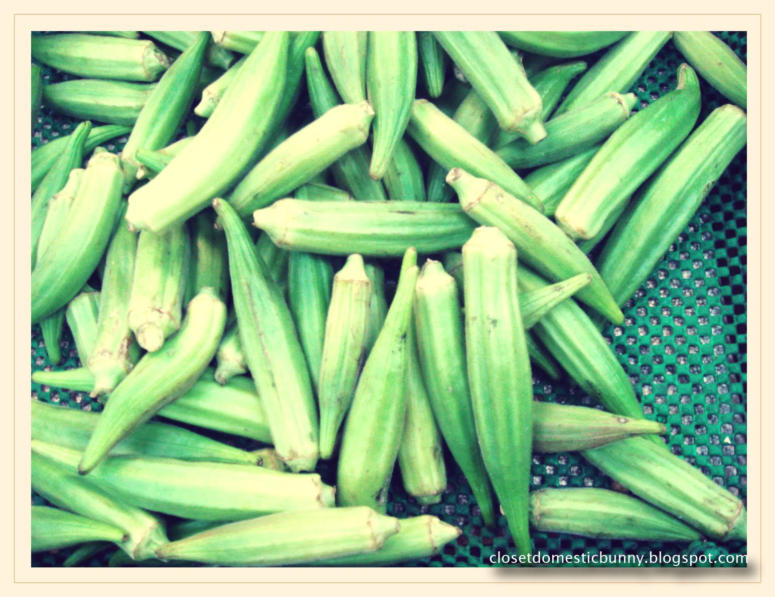 cooking. eating. carousing.: March 2011