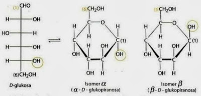 Pengertian Monosakarida, Struktur Molekul, Contoh, Gugus Fungsi, Kimia