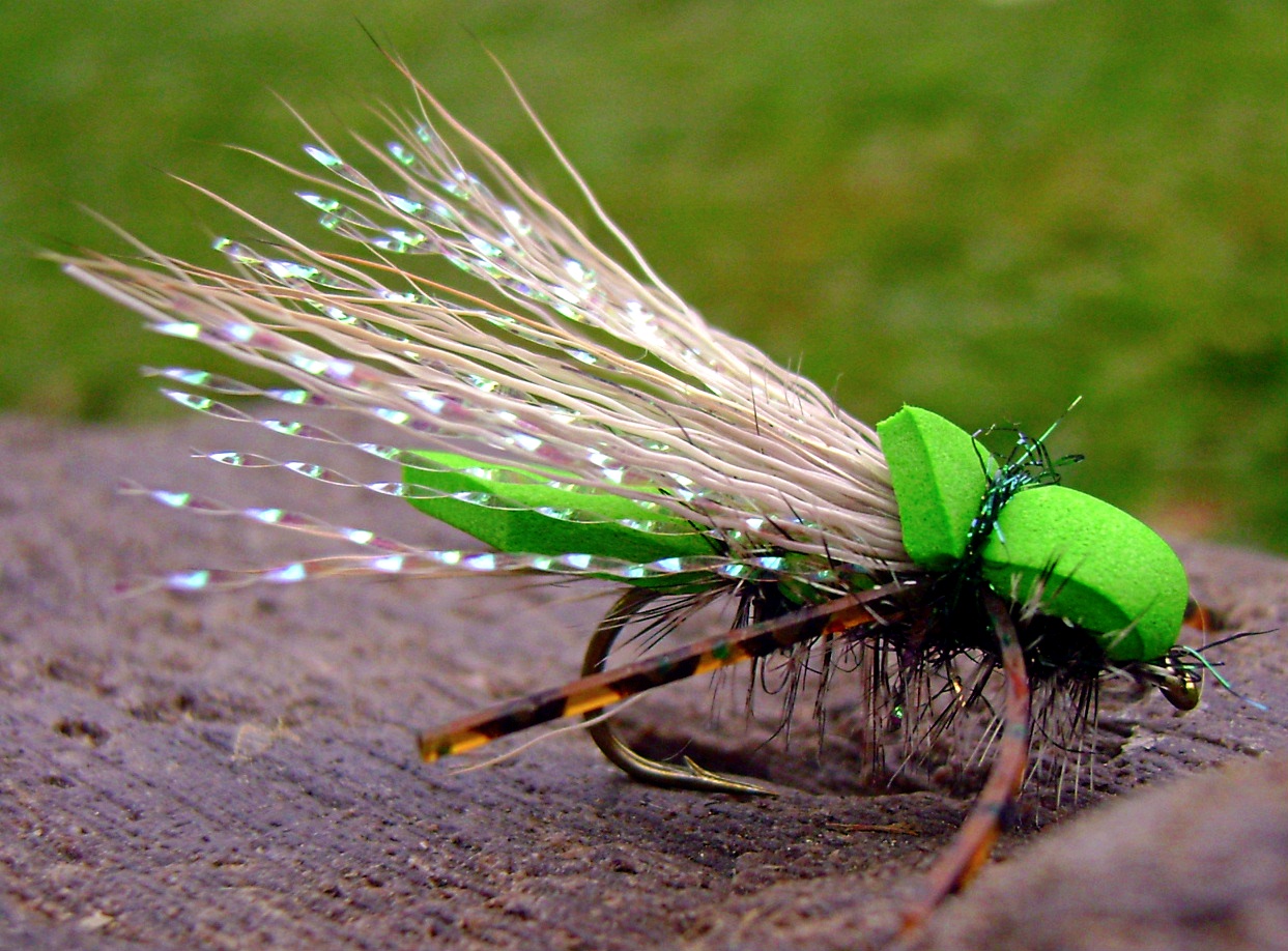 Fly Fishing In Yellowstone National Park: 07/01/2011 - 08/01/2011