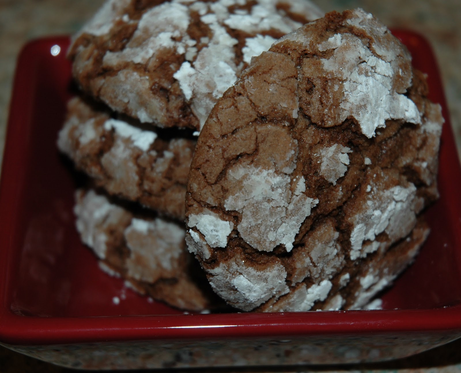 DeLish DeMaria: Cocoa Crackle Cookies