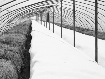 Agfabric: Row cover types