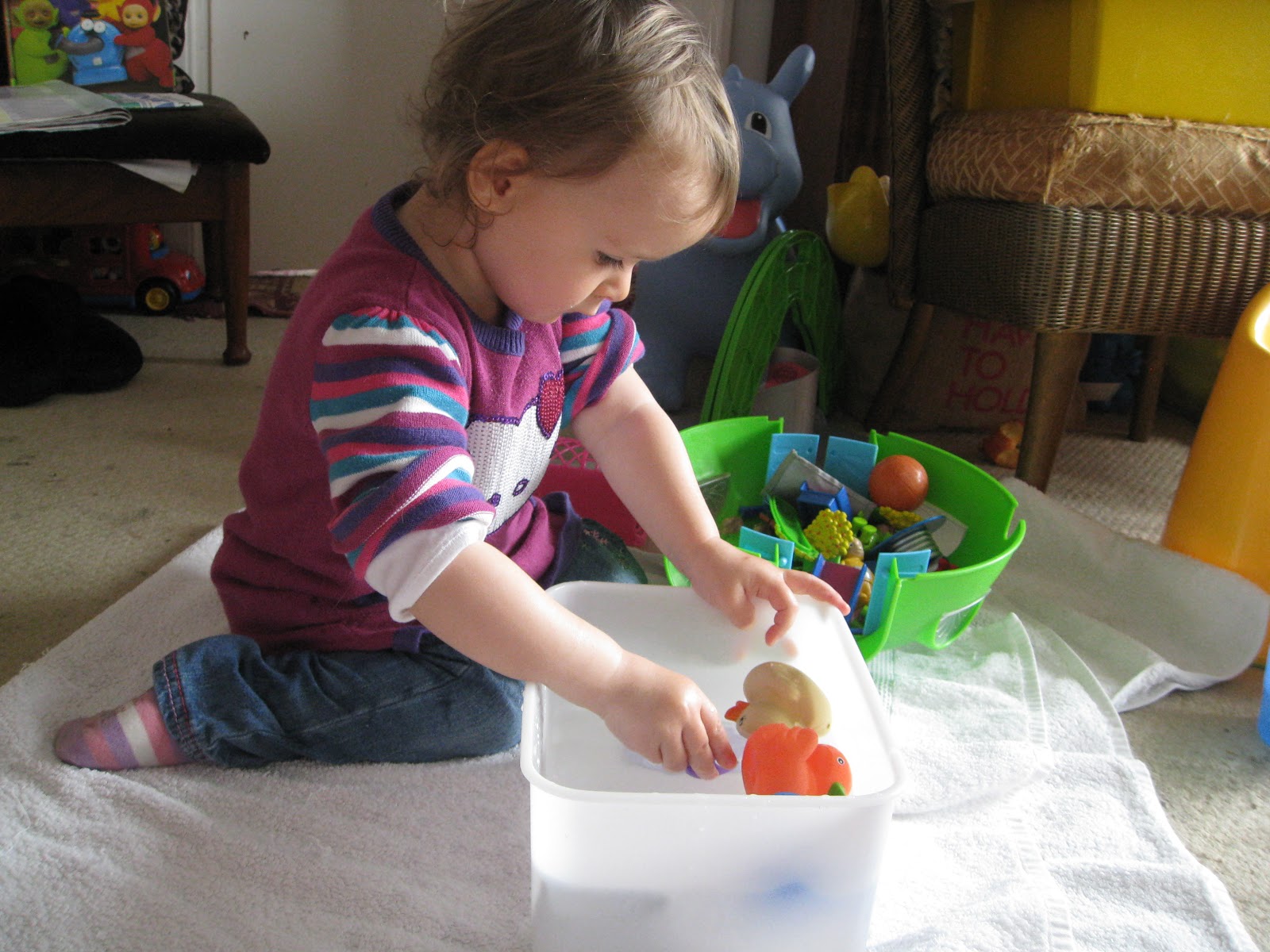 How to Set Up a Preschool Science Investigation: Floating and Sinking