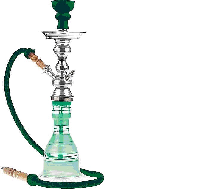 caffe sisha d'von: jual sishsa large