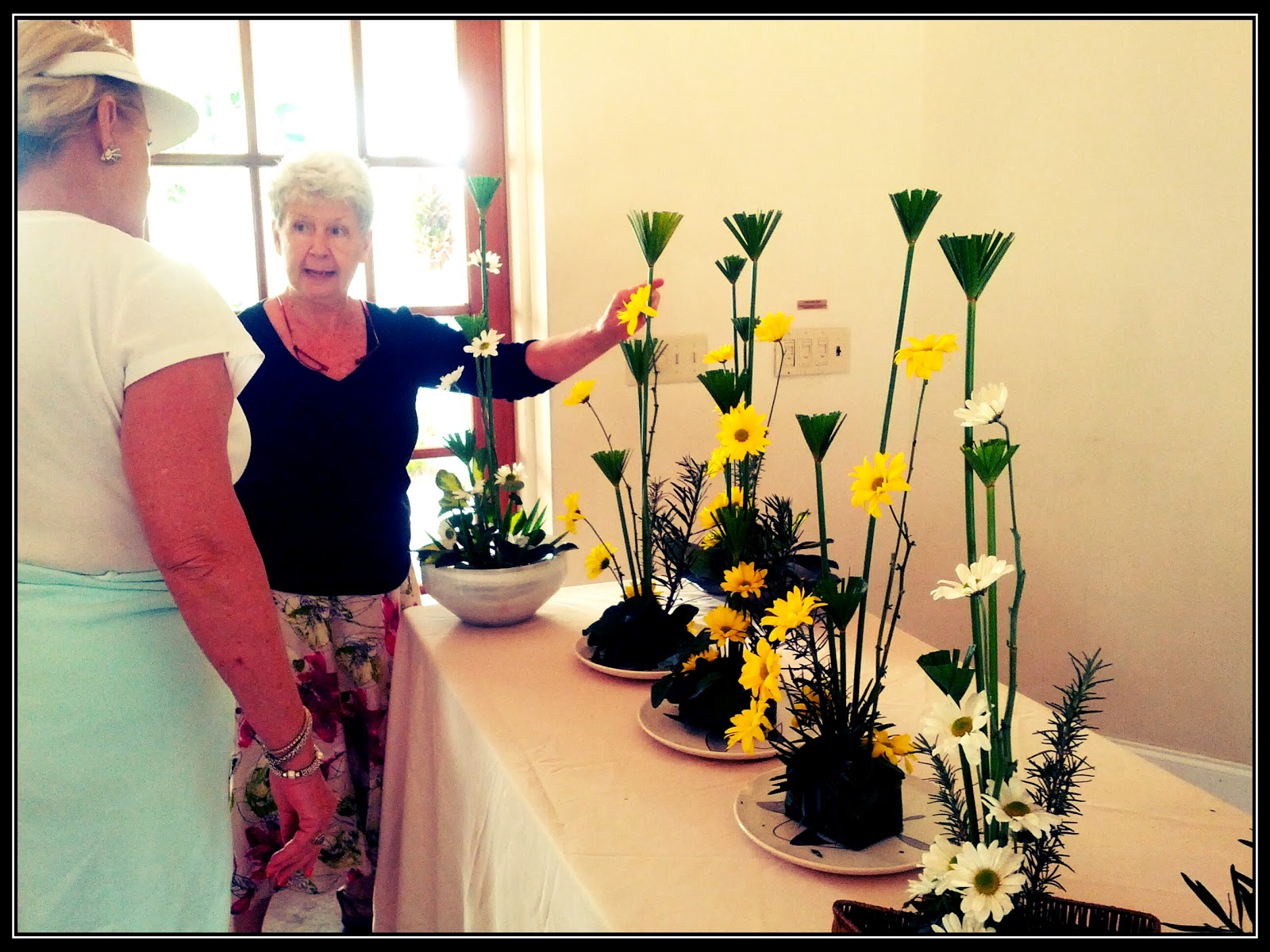 Miami Beach Botanical Garden Blog: Amazing April