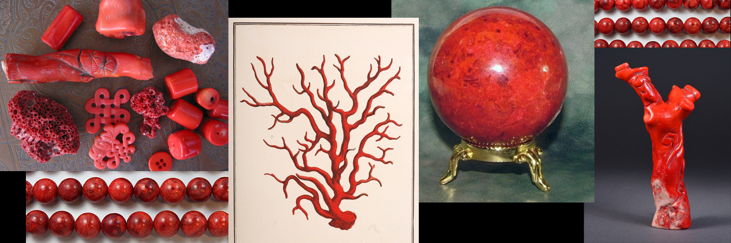 Welcome to the Sailor's Omen Blog: Understanding Stones Part:7 Red Coral