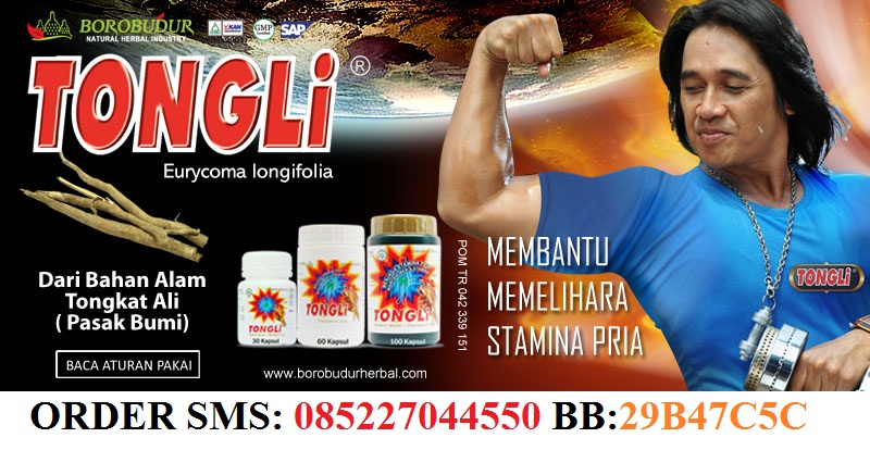 Rumah Tasikmalaya: OBAT KUAT HERBAL - TONGLI - Tongkat Ali - Eurycomae ...