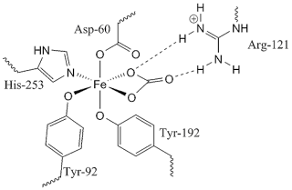 Storage and Transport of Iron in Living Things