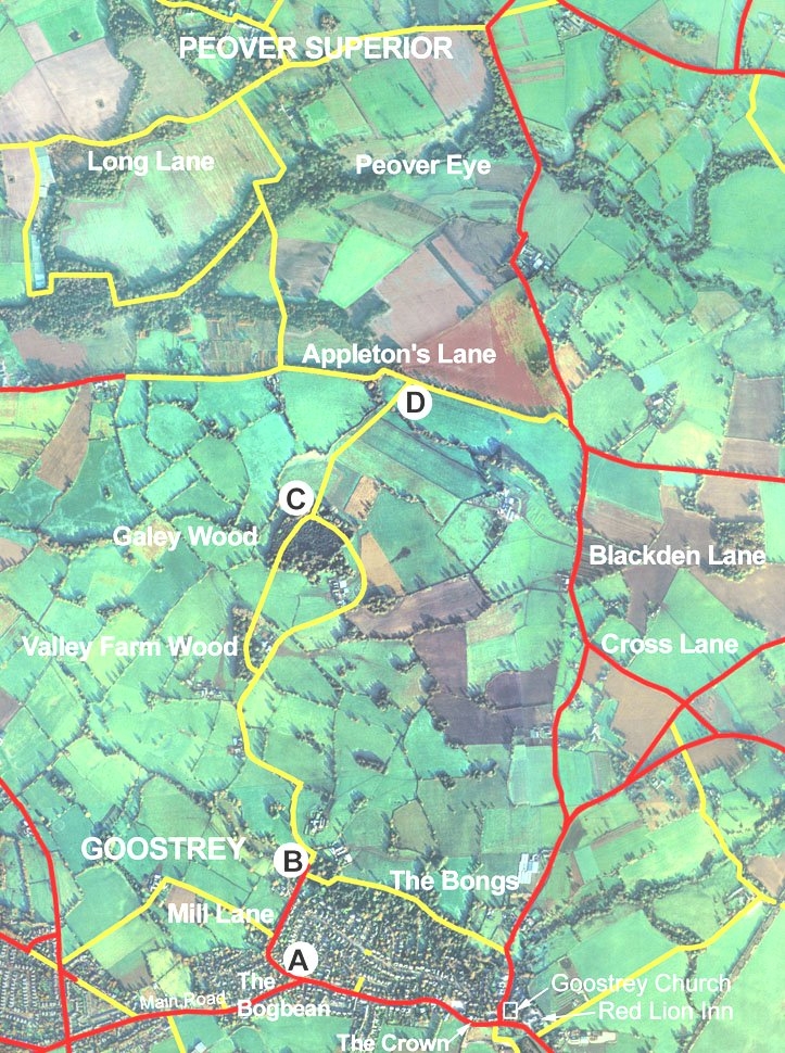 Blogs from the Bongs