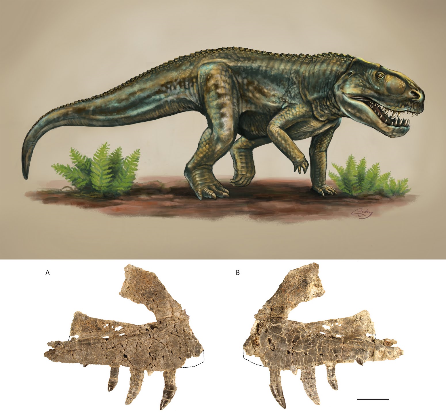 Species New to Science: [Paleontology • 2016] Vivaron haydeni • A New ...