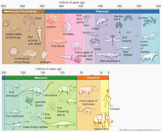 KikTP: ธรณีประวัติ