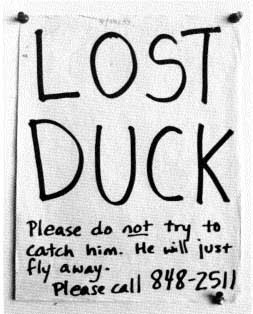 On Being and Believing: Lost Duck