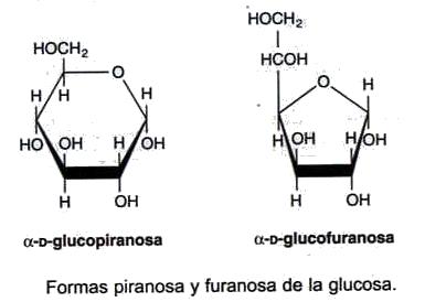 blog-bioquimica: Carbohidratos